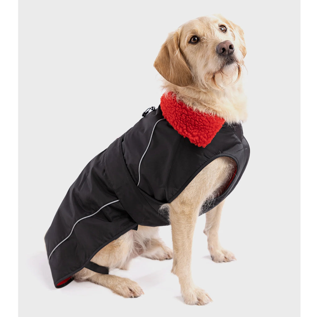 RNLI dryrobe® Dog Coat, Black/Red | RNLI Shop