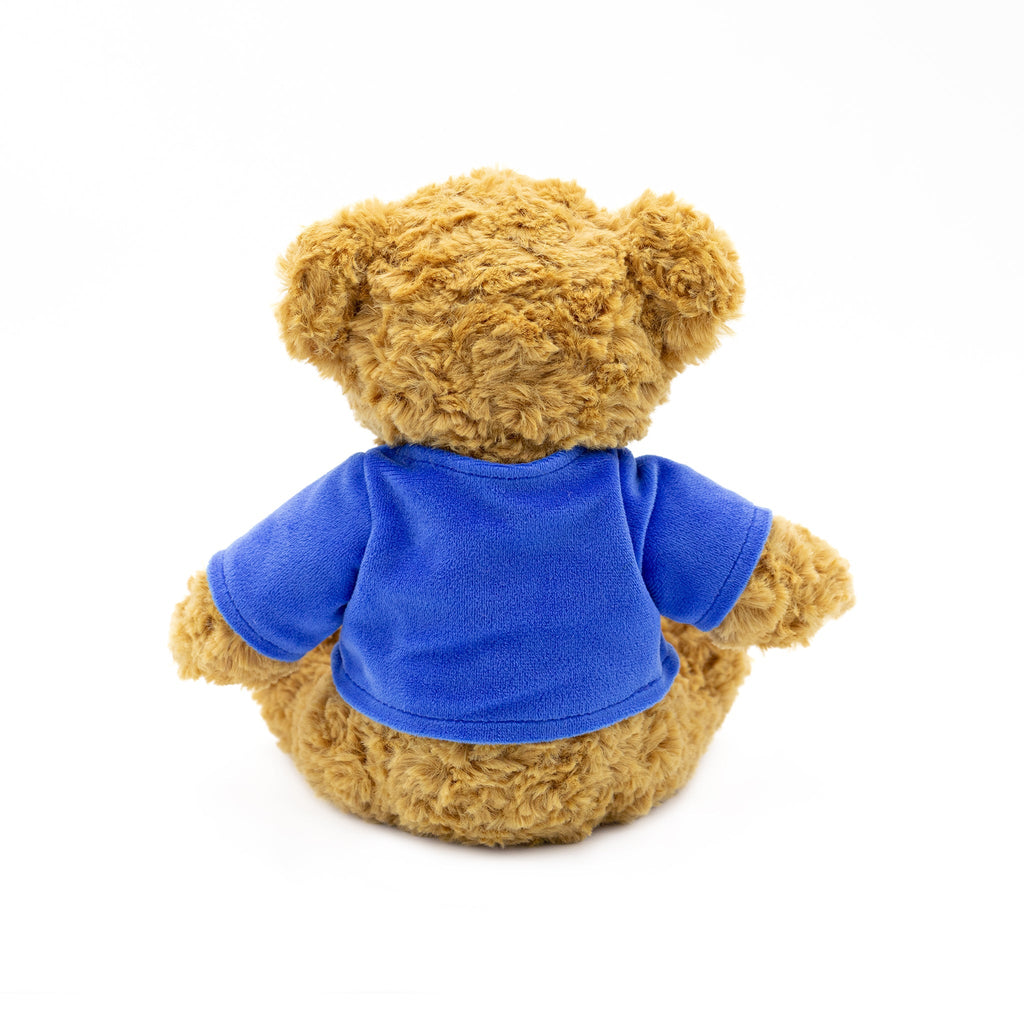 Noah Recycled Lifeboat Bear | RNLI Shop