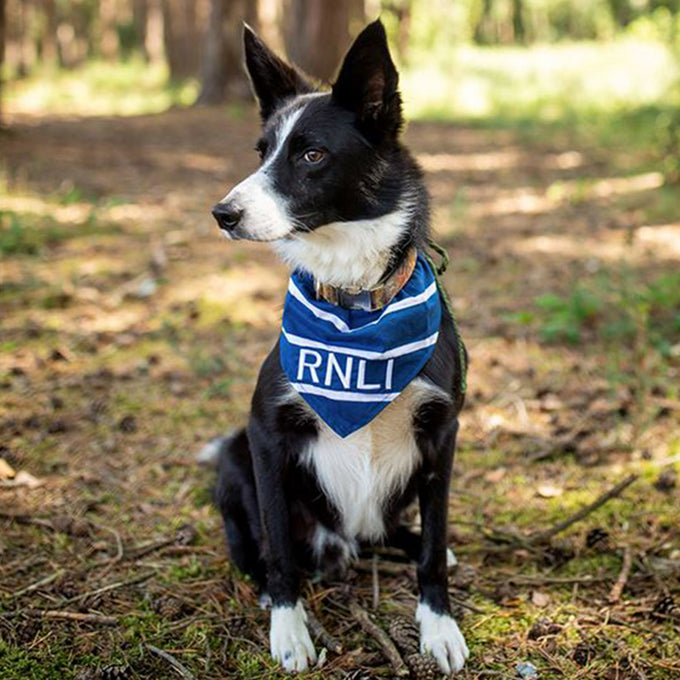 Pet Products | RNLI Shop
