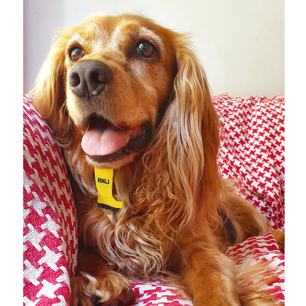 RNLI Yellow Welly Collar Charm | RNLI Shop